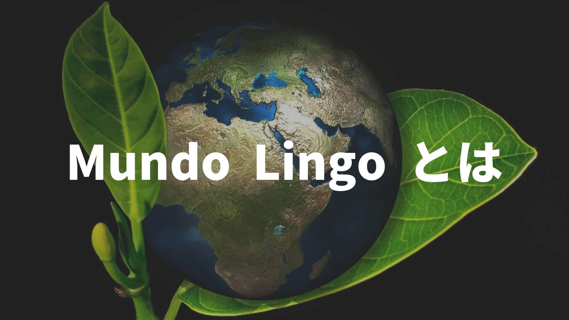 【国際交流】Mundo Lingo がオススメ | アスリートジャーニー